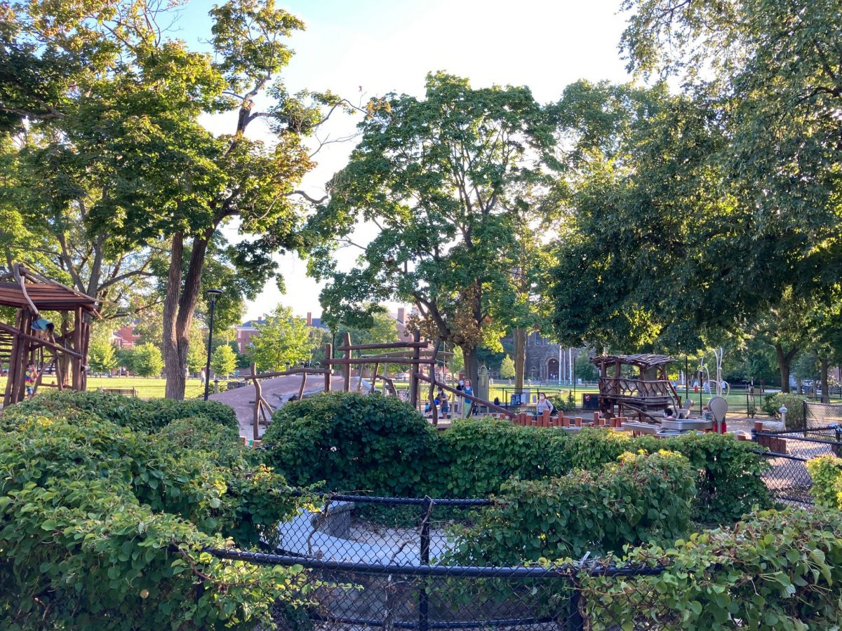 Cambridge Common Park in Cambridge, MA - Urbnparks.com