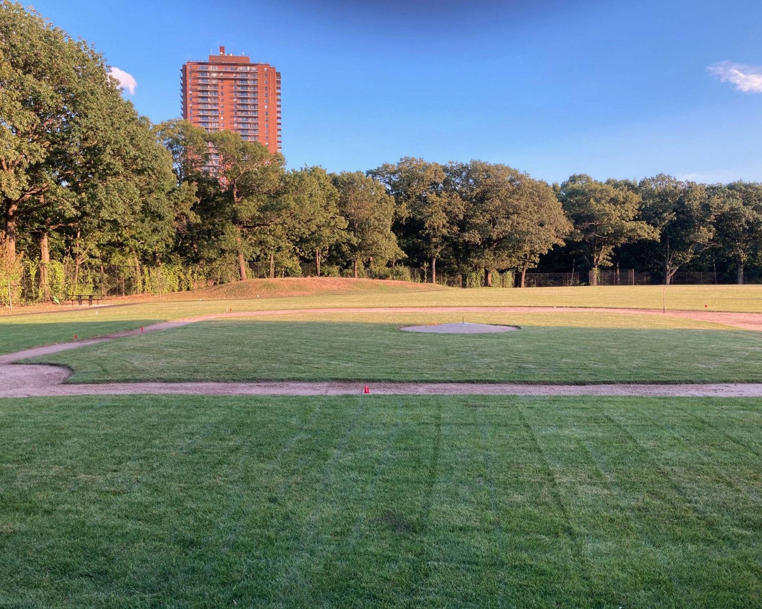 Boston Little League Fields: Find The Best Little League Fields in Boston