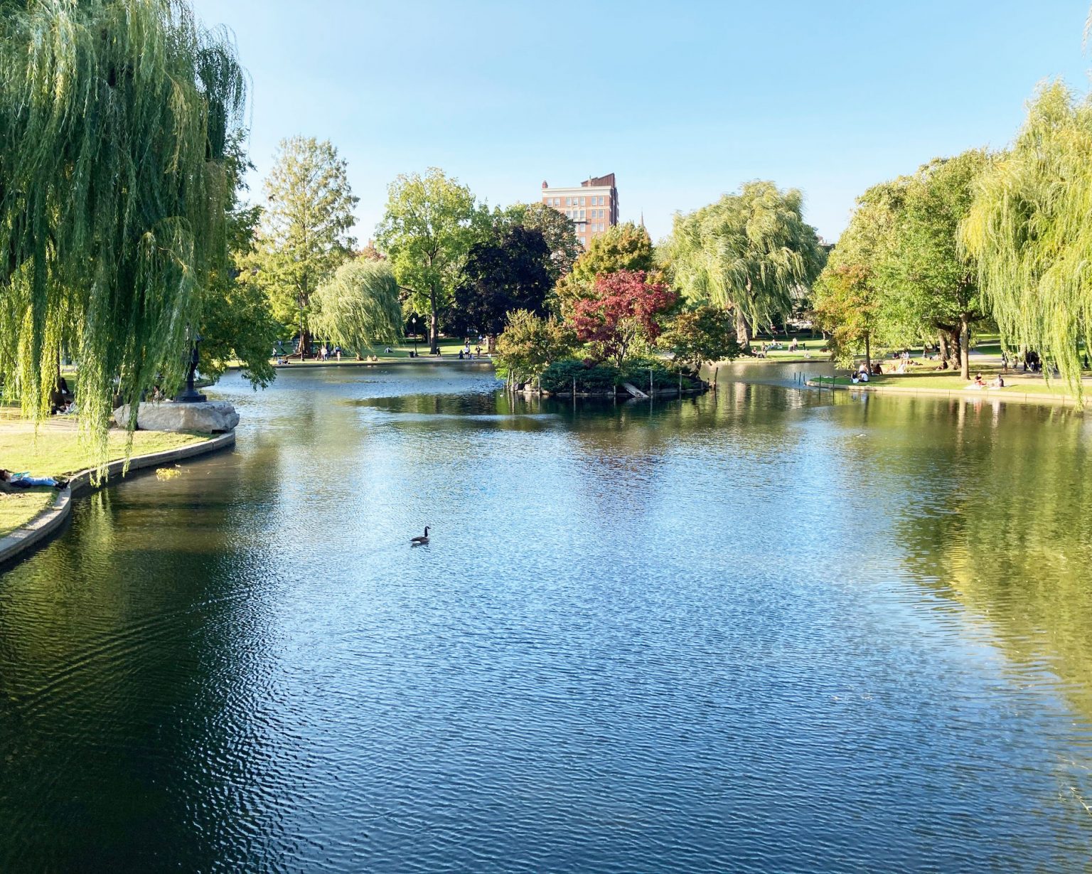 Find Boston Parks: Browse 250+ Parks Listed in Boston - Urbnparks.com