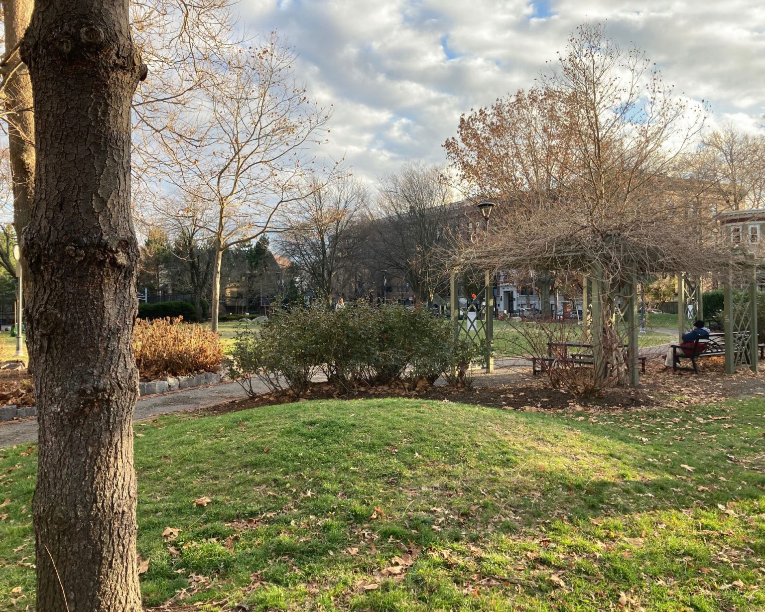 Dana Square Park in Cambridge, MA: Plan Your Trip - Urbnparks.com