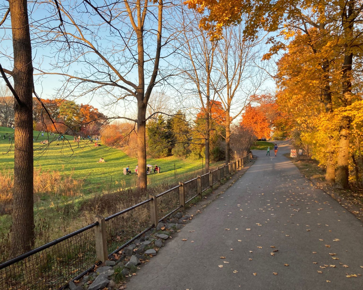 Fresh Pond Reservation in Cambridge, MA: Plan Your Trip - Urbnparks