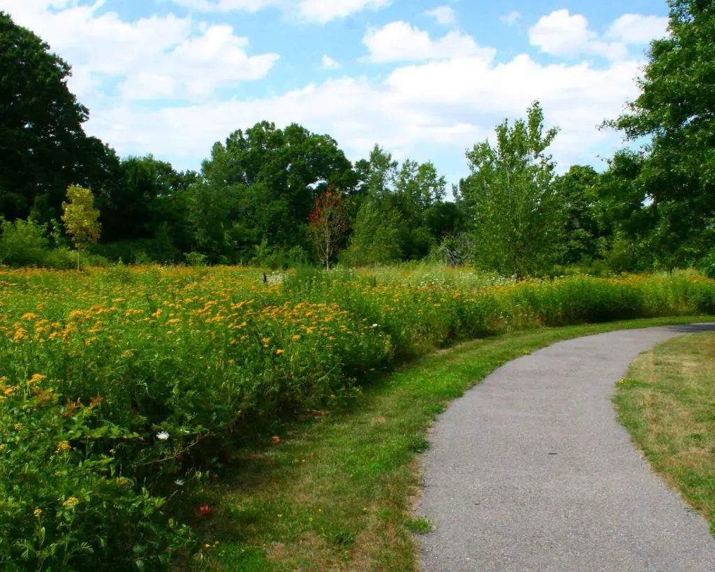 Boston Nature Center, in Mattapan MA: Plan Your Next Trip - Urbnparks