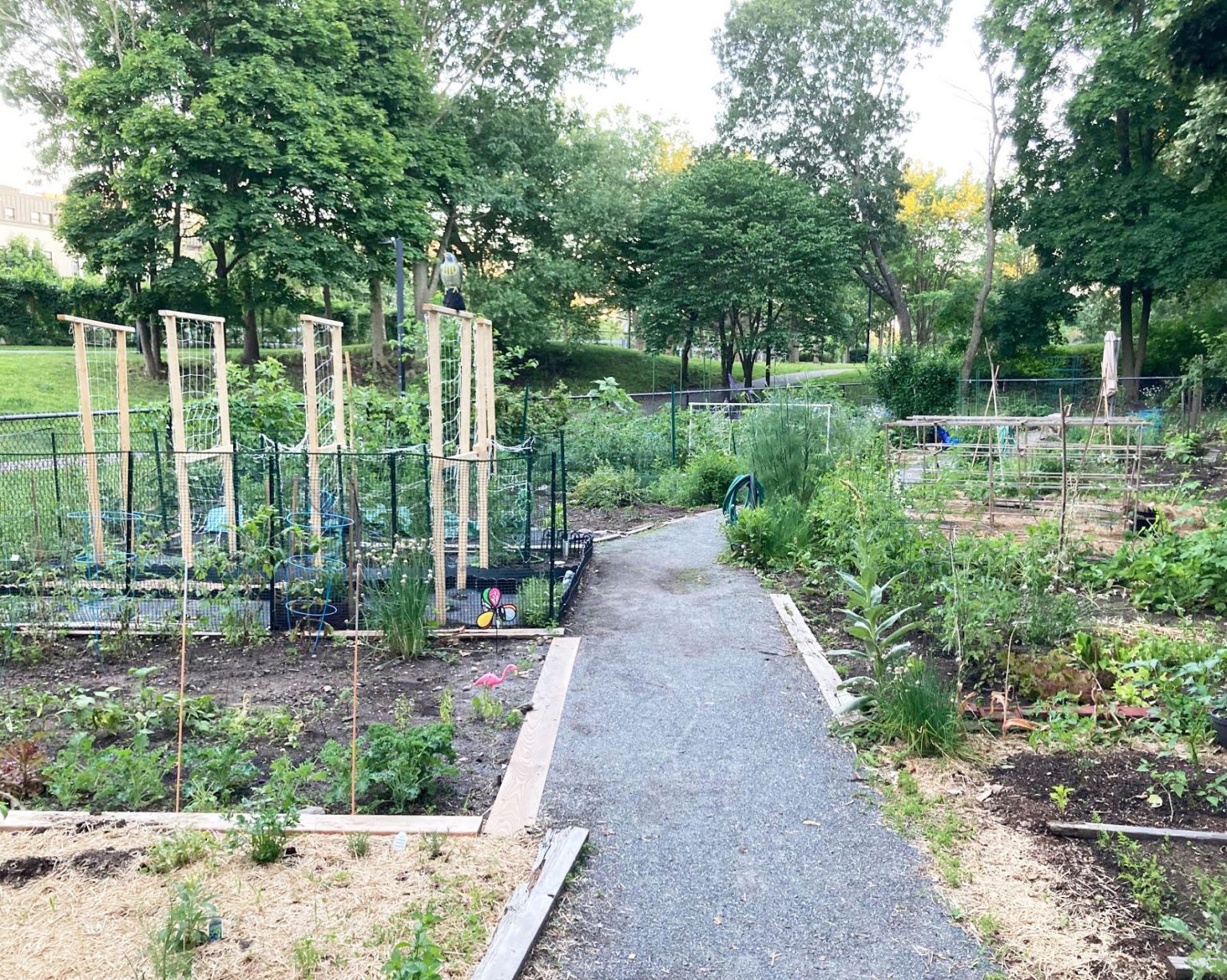 Community Gardens in Boston - Urbnparks.com