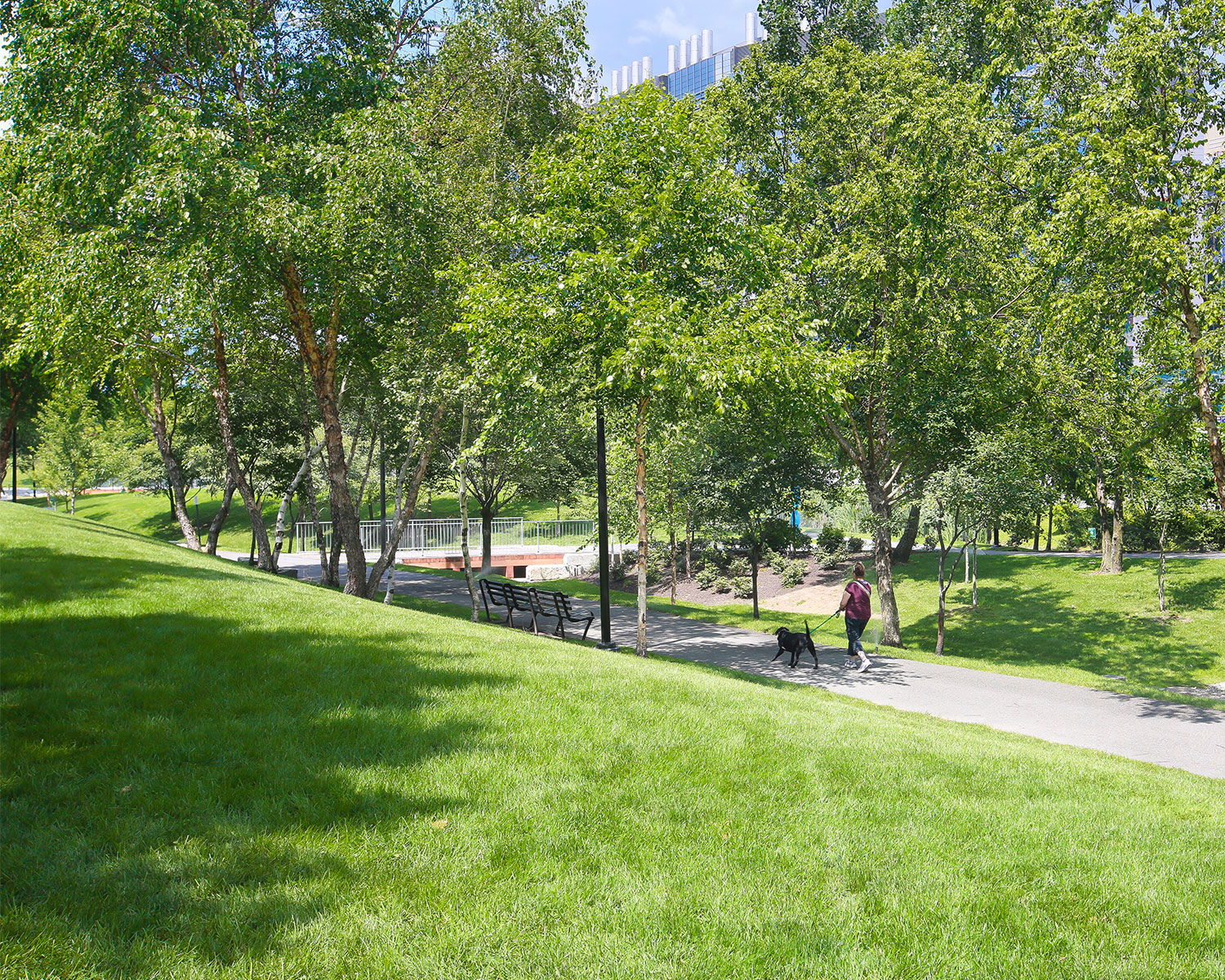 The Common at CX in Cambridge MA: Events & Amenities - Urbnparks