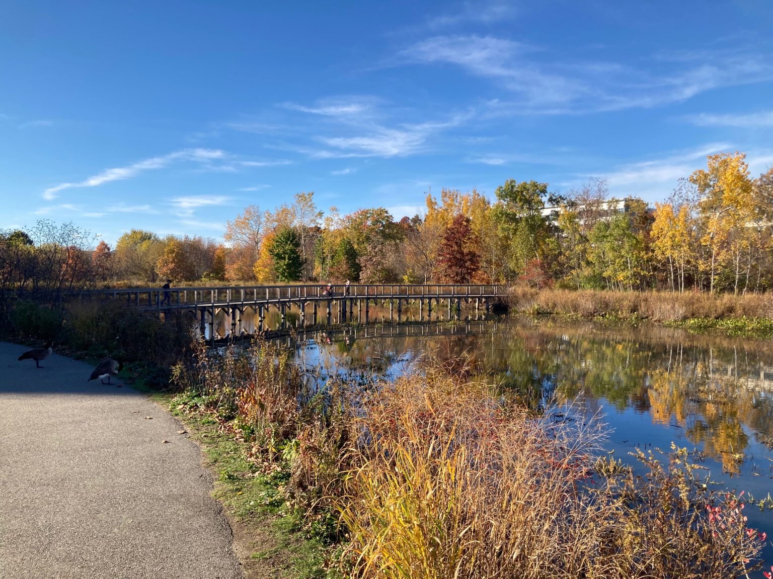 Alewife Brook Reservation in Cambridge, MA - Urbnparks.com